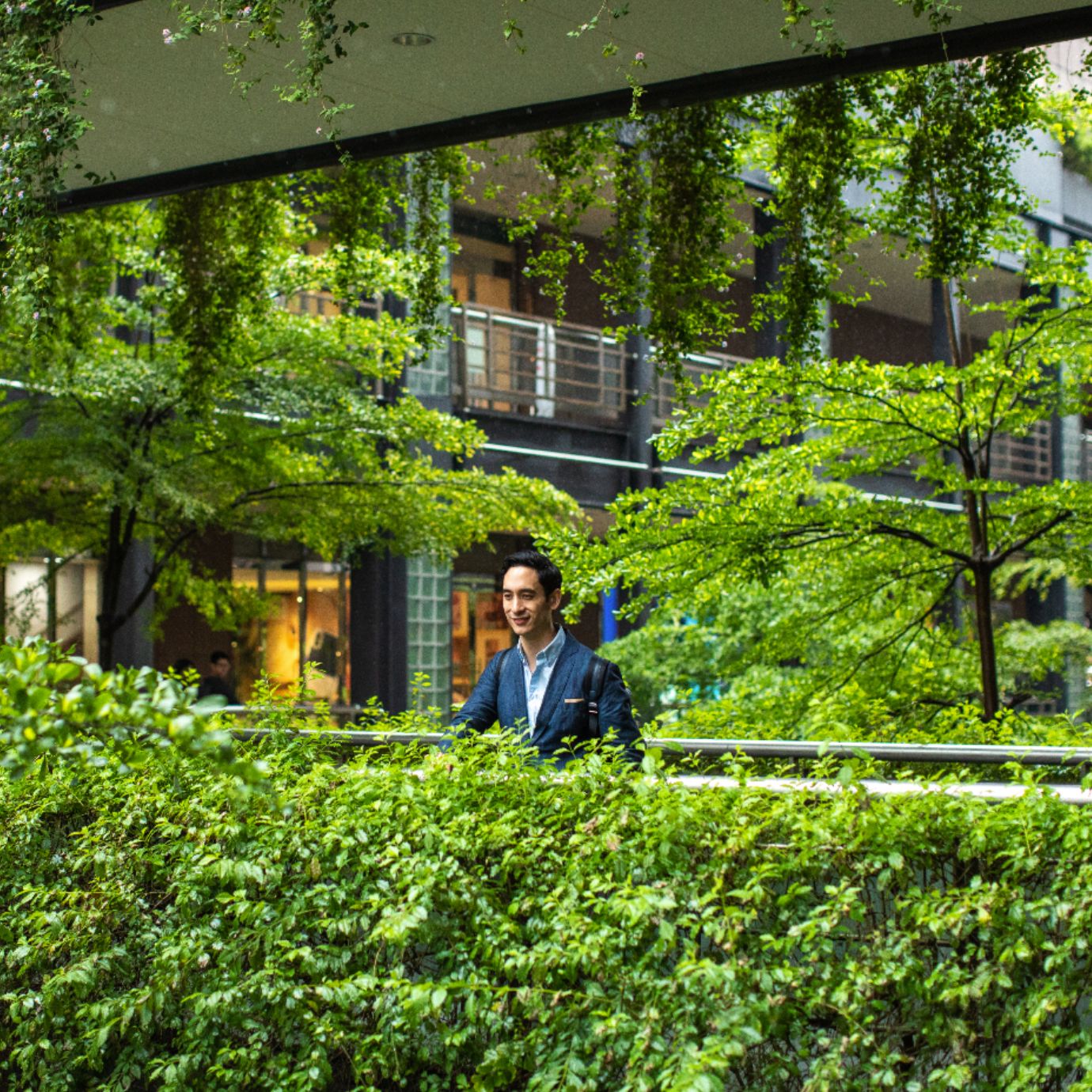 News & views - We are MAPP